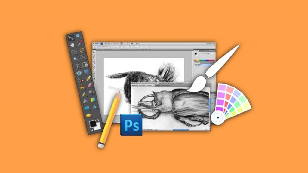 [Freebies] Learn Designing Using Adobe Photoshop from Scratch by ...